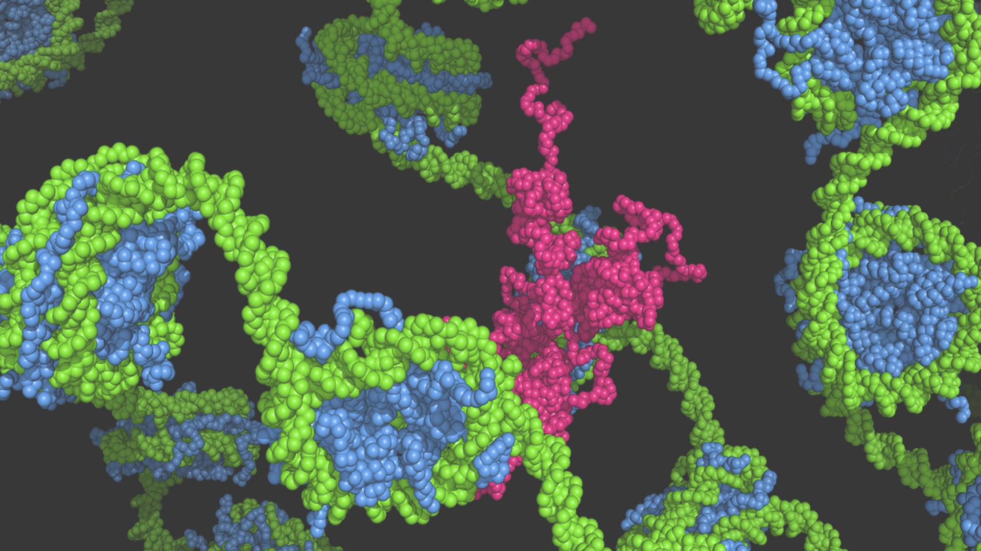 Theoretical Biophysics Lab